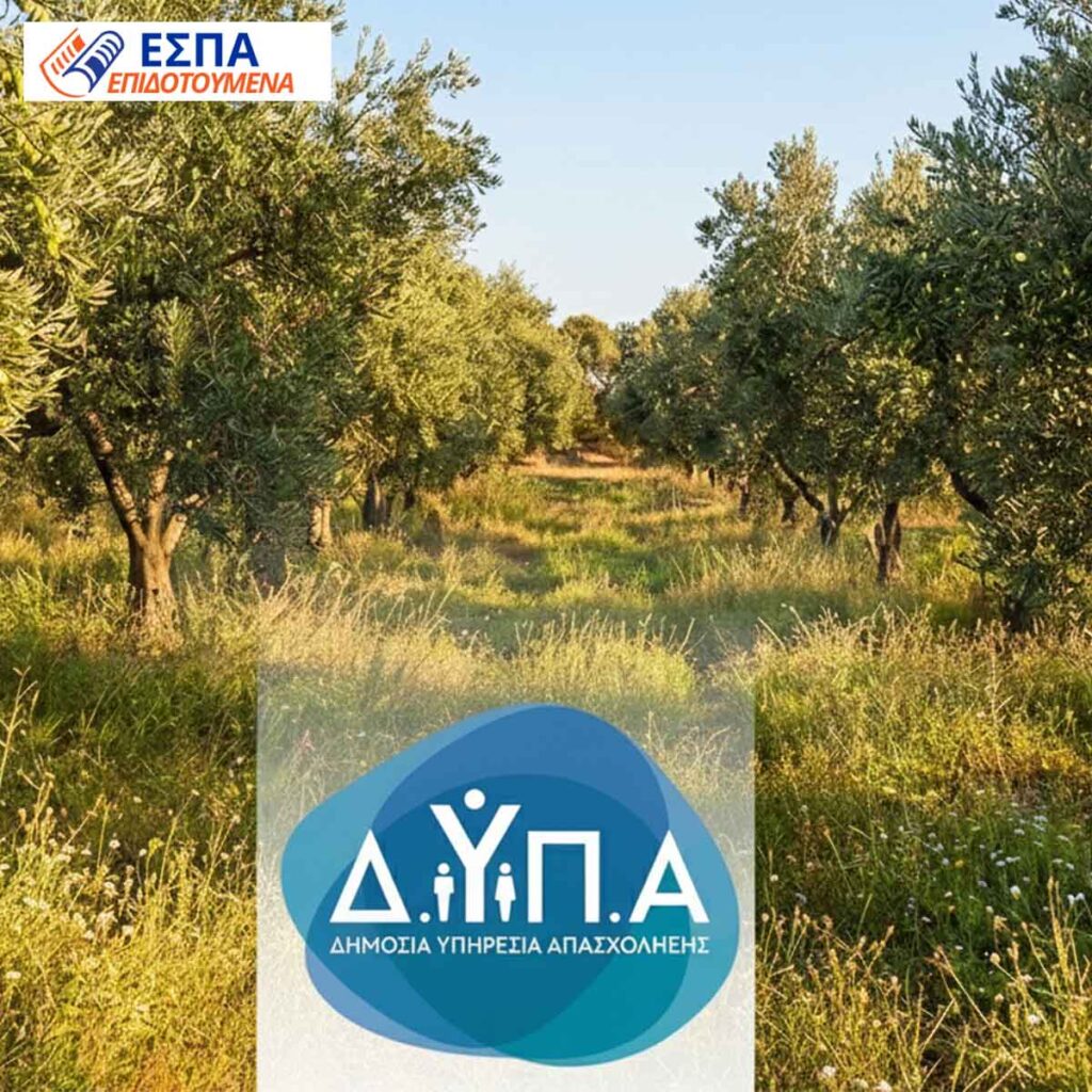 Επιδοτούμενα Προγράμματα Αρχεία - ΕΠΙΔΟΤΟΥΜΕΝΑ ΠΡΟΓΡΑΜΜΑΤΑ ΕΣΠΑ - ΟΑΕΔ